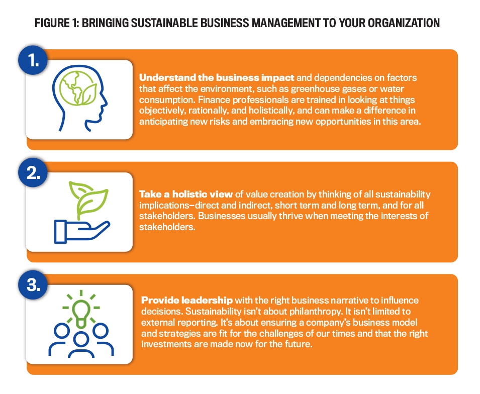 Sustainable Business Management | IMA