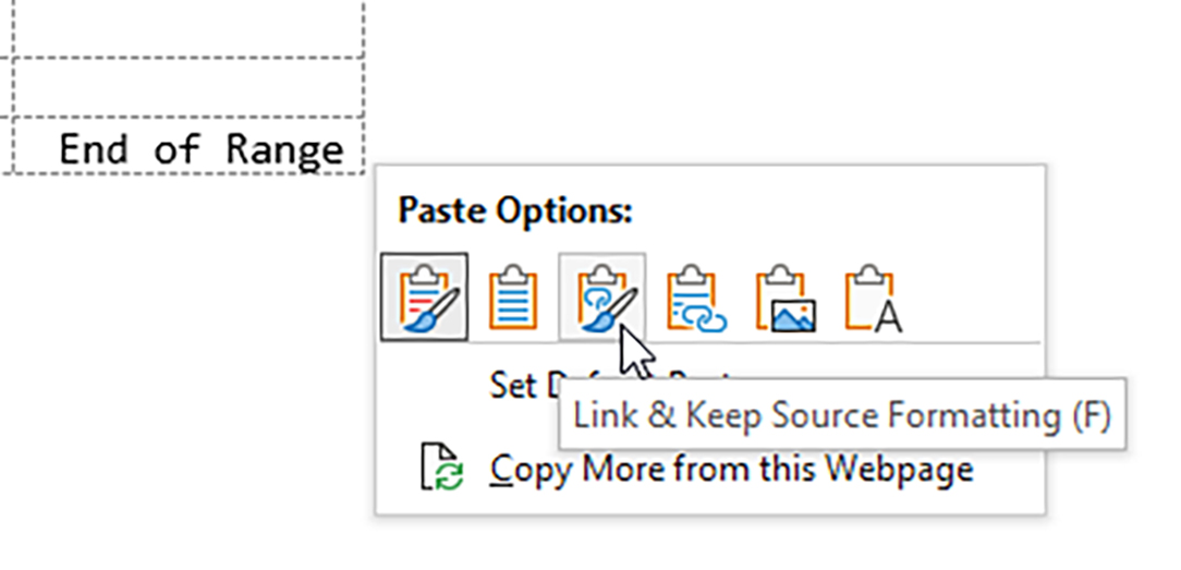 Excel: Embedding a Range in a Word Document | IMA